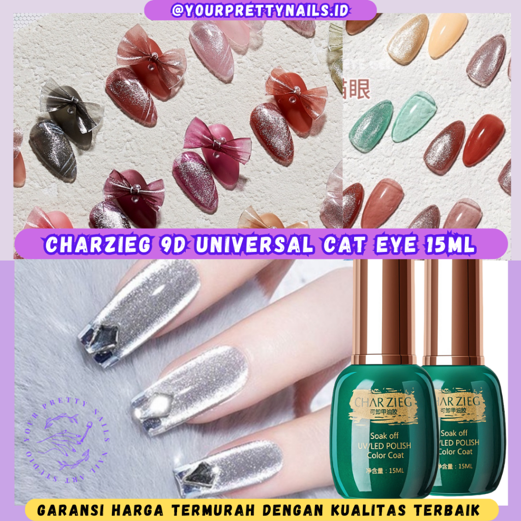 Jual CHARZIEG UNIVERSAL CAT EYE SILVER 9D NAIL GEL POLISH CATEYE HIGH ...