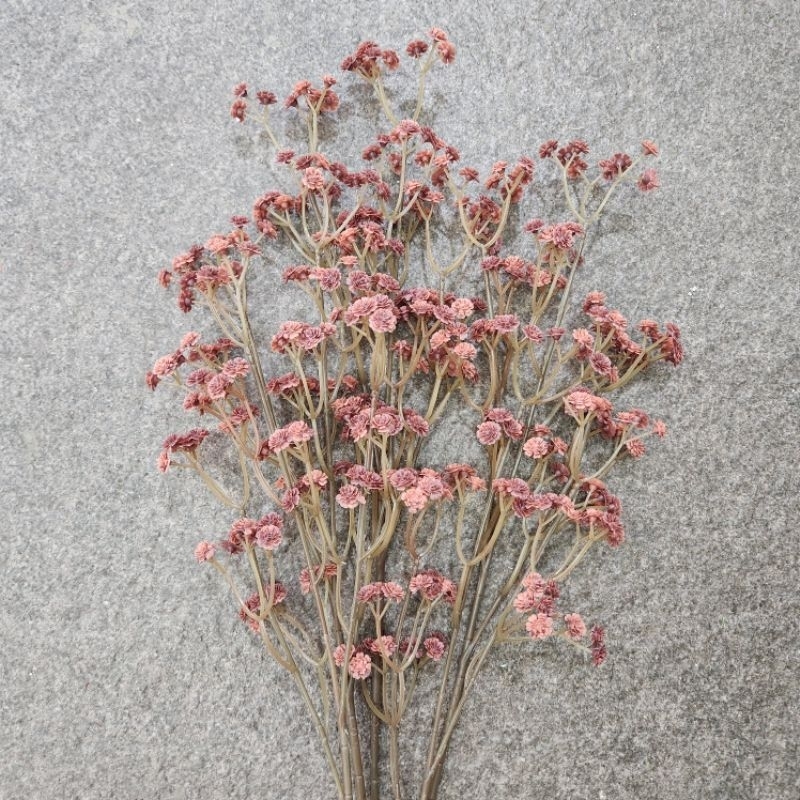 Jual Bunga Baby Breath LATEX Panjang Premium | Shopee Indonesia