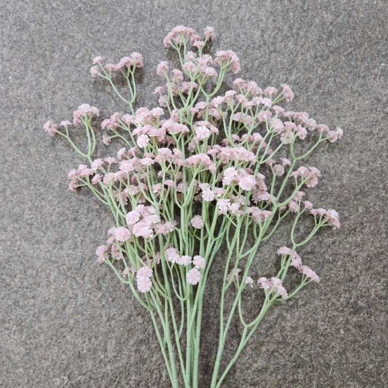 Jual Bunga Baby Breath LATEX Panjang Premium | Shopee Indonesia