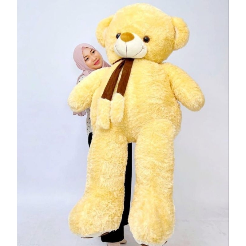 Jual Boneka Beruang Teddy Bear Besar Jumbo 2 Meter | Shopee Indonesia