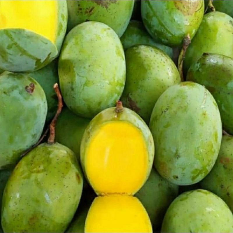 Jual BUAH MANGGA KWENI MANIS SEGAR 1KG | Shopee Indonesia