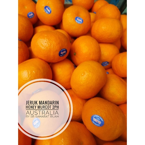 Jual QUEEN BUAH - buah jeruk mandarin honey murcot 1kg | Shopee Indonesia