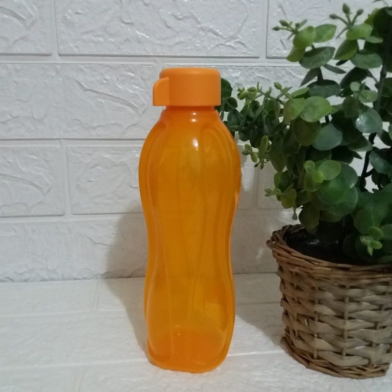 Jual Eco Botol 500ml ulir eco 500ml puter eco fashion 500ml ulir | Shopee Indonesia