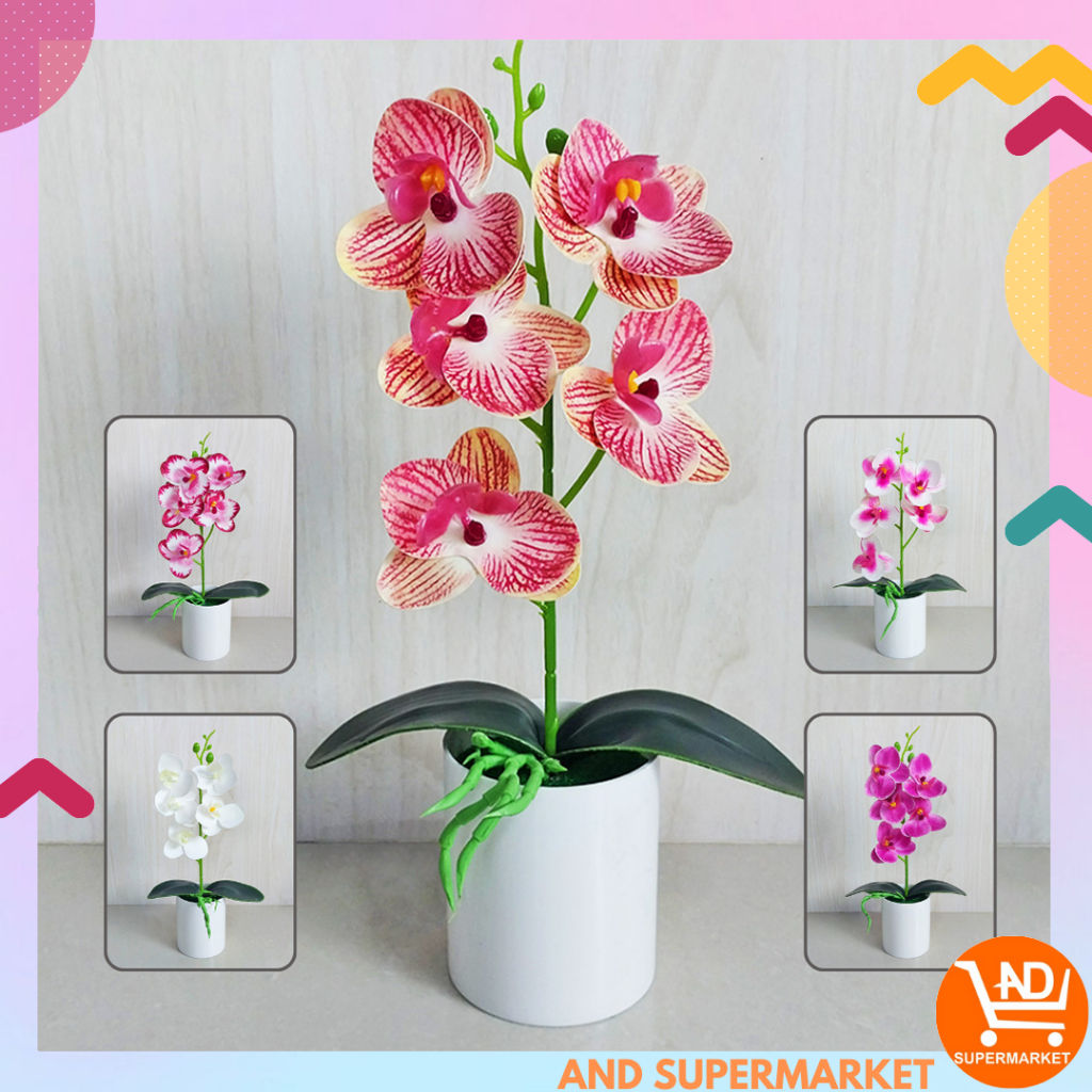 Jual Bunga Hias Anggrek Gradient Bunga Hiasan Plastik Dekorasi Rumah ...