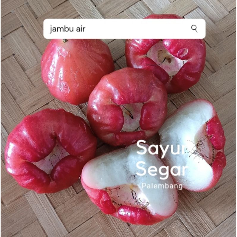 Jual Jambu Air Merah 500 gr Sayur Segar Palembang | Shopee Indonesia