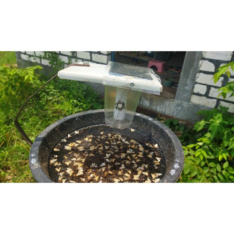 Jual perangkap hama energi matahari LED HPL | Shopee Indonesia