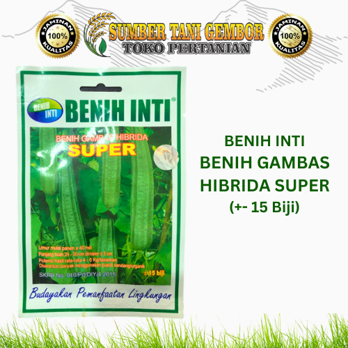 Jual BENIH INTI BENIH GAMBAS HIBRIDA SUPER (+- 15 Biji) | Shopee Indonesia
