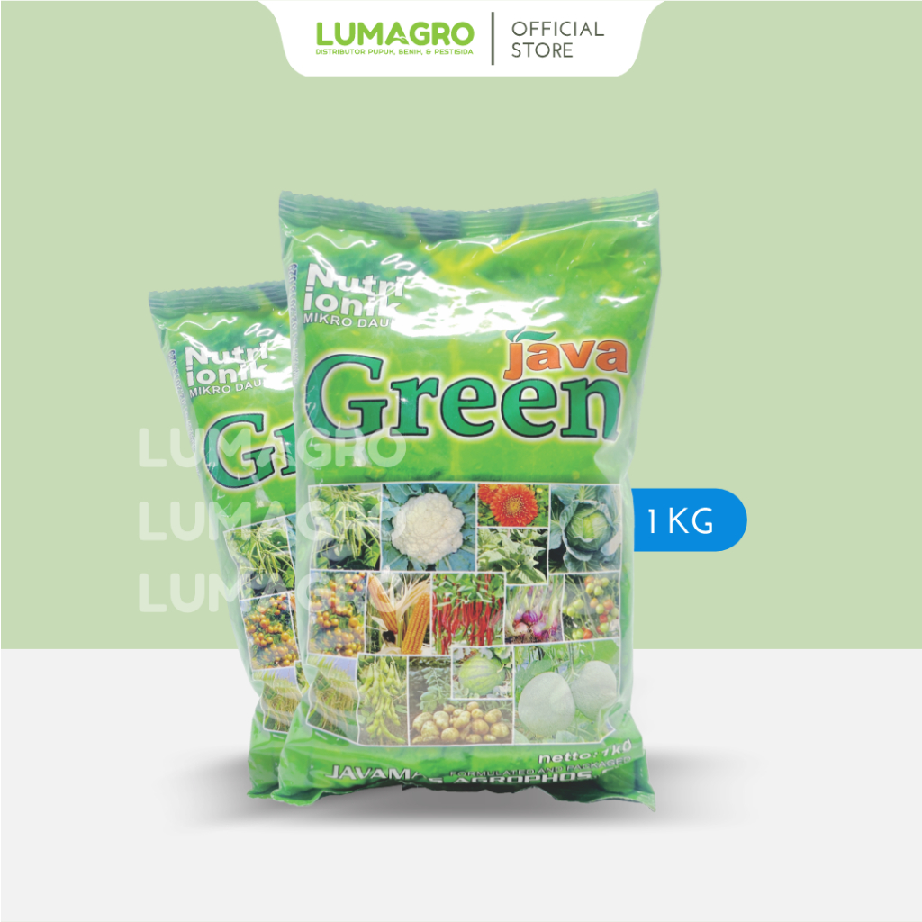 Jual Pupuk Java Green 1kg Nutrisi Daun Mempercepat Proses Pembentukan ...