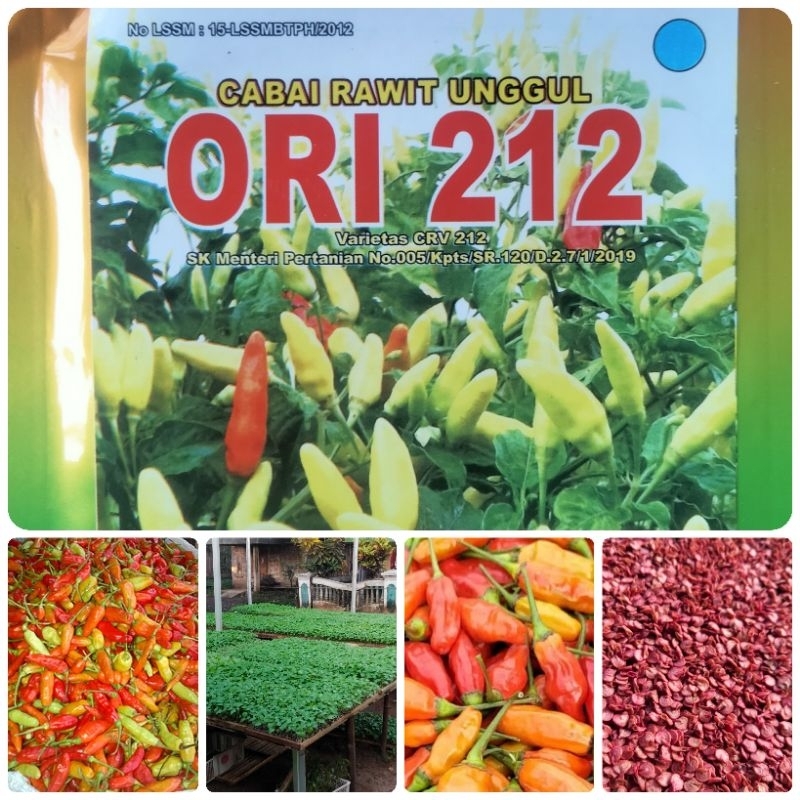 Jual benih cabe rawit merah ORI 212 ( 100 biji ) MUDAH BERKECAMBAH ...