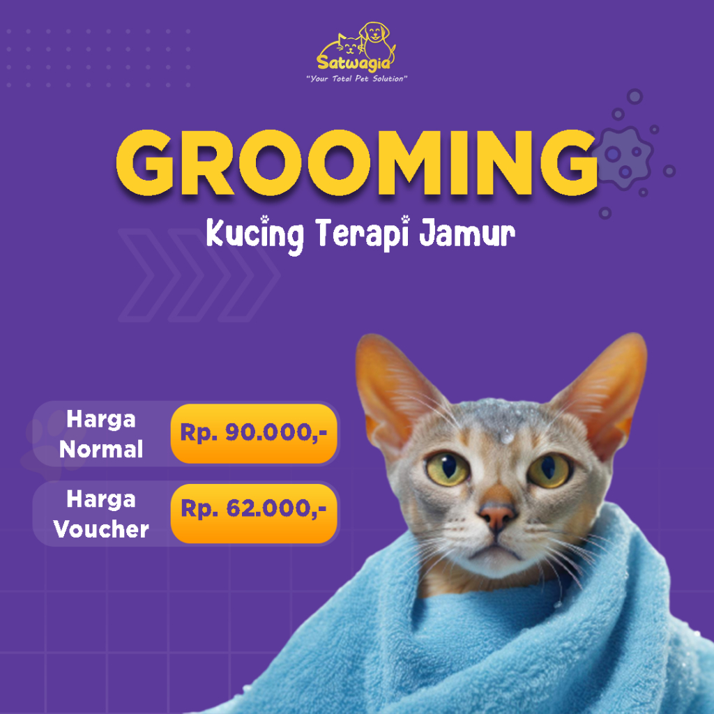 Jual Layanan Grooming Kucing Terapi Jamur Hanya diklinik Hewan Satwagia ...