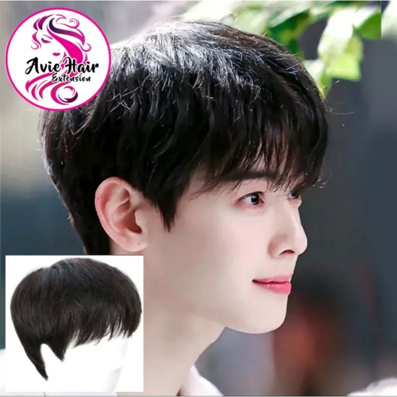 Jual Wig Pria Korea / Rambut Palsu Pria pendek lurus | Shopee Indonesia