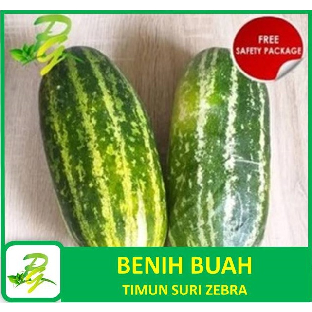 Jual PEERINA BENIH BUAH - Benih Biji Bibit Timun Suri Zebra Isi 15 Biji ...