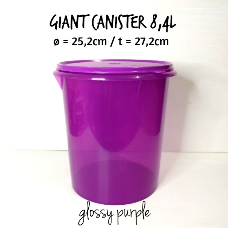 Jual tupperware giant canister ungu glossy | Shopee Indonesia