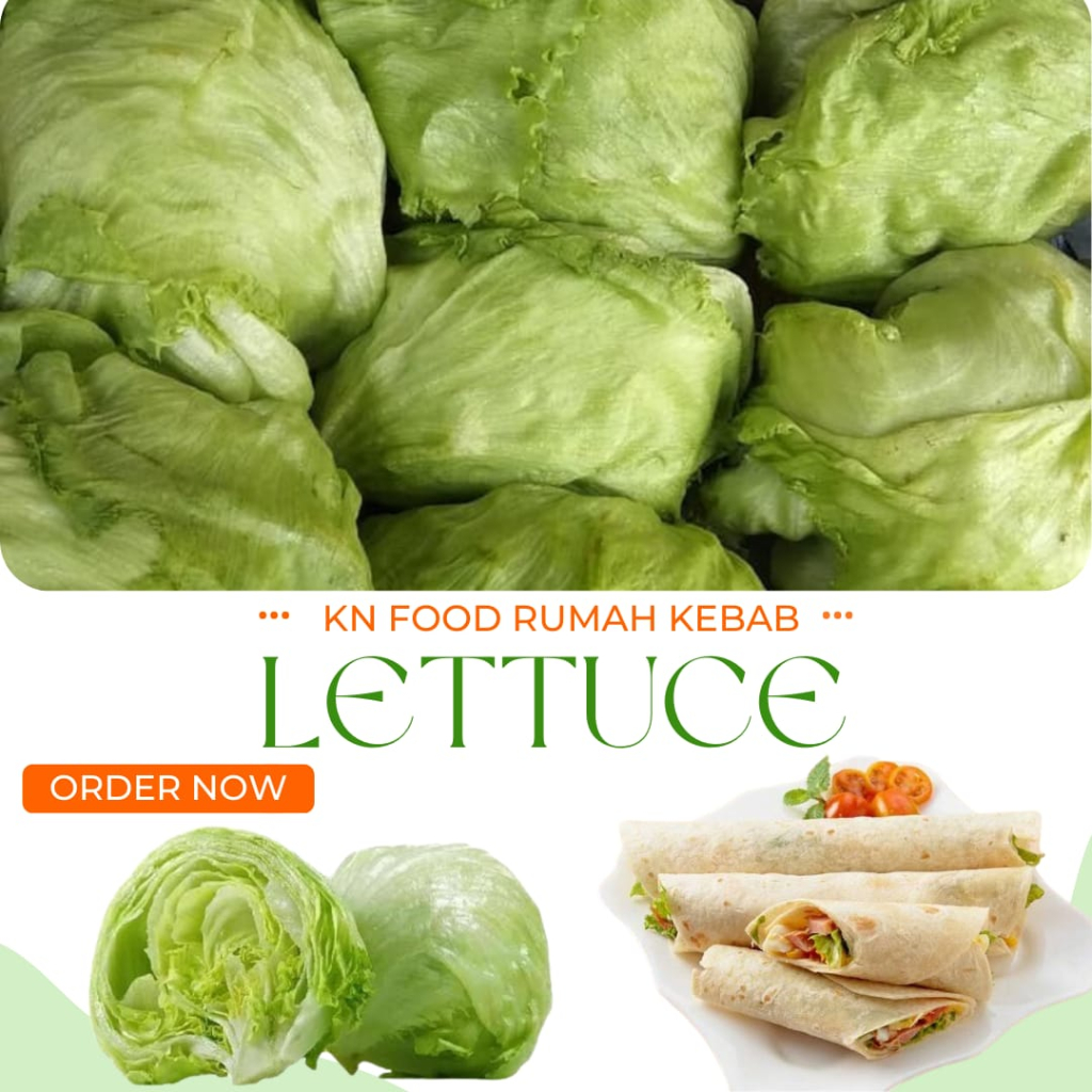 Jual Sayuran Kebab Letus/letuce 1 Kg | Shopee Indonesia