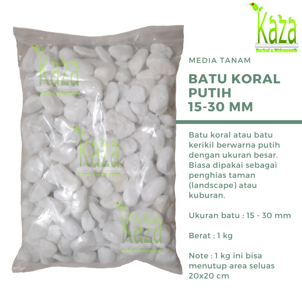 Jual Batu Koral Putih 15-30 mm 1 kg - Kerikil Dekorasi Taman | Shopee Indonesia