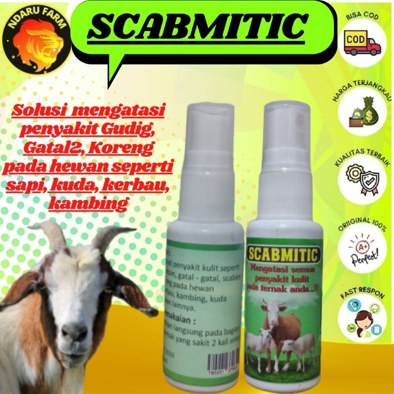 Jual Obat anti infeksi kulit scabies gudig koreng pada kelinci sapi ...