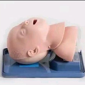 Jual Phantom Manikin Intubasi Bayi GD J10 – Infant Intubation Trainer ...