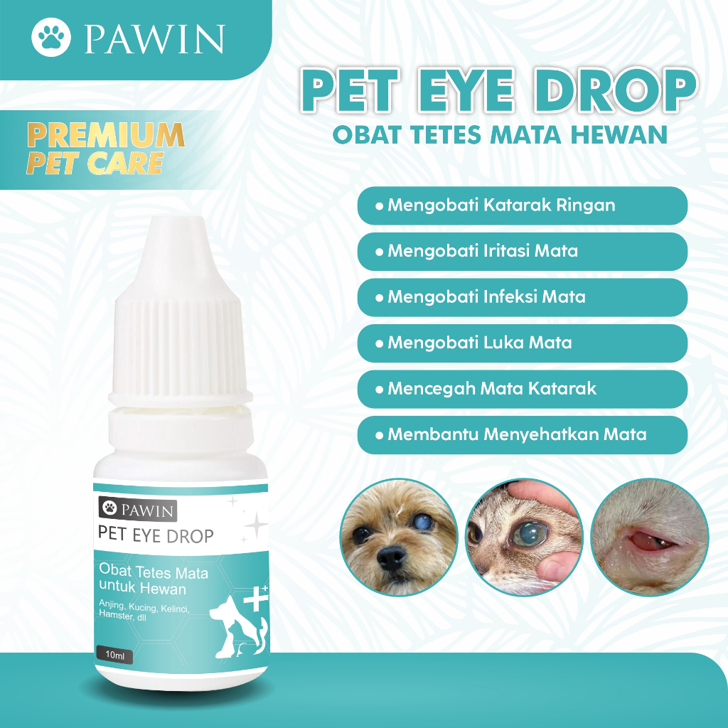 Jual Obat Tetes Mata Luka Katarak Anjing Kucing Obat Mata Iritasi Mata ...