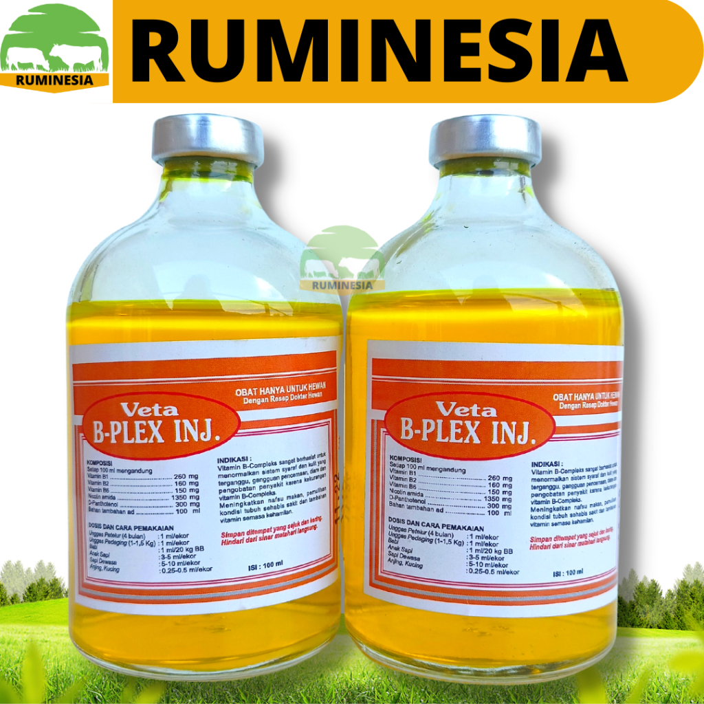 Jual VETA B PLEX INJ 100ML - B complek 100 ml injeksi - Vitamin B ... Jual VETA B PLEX INJ 100ML - B complek 100 ml injeksi - Vitamin B ...