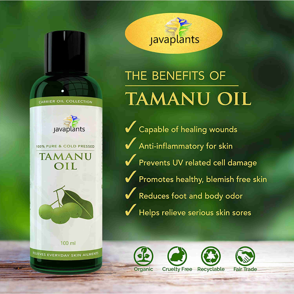 Jual TAMANU OIL 100 ml Minyak Tamani Cold Pressed Penghilang Bopeng, Selulit, Bekas Jerawat ...