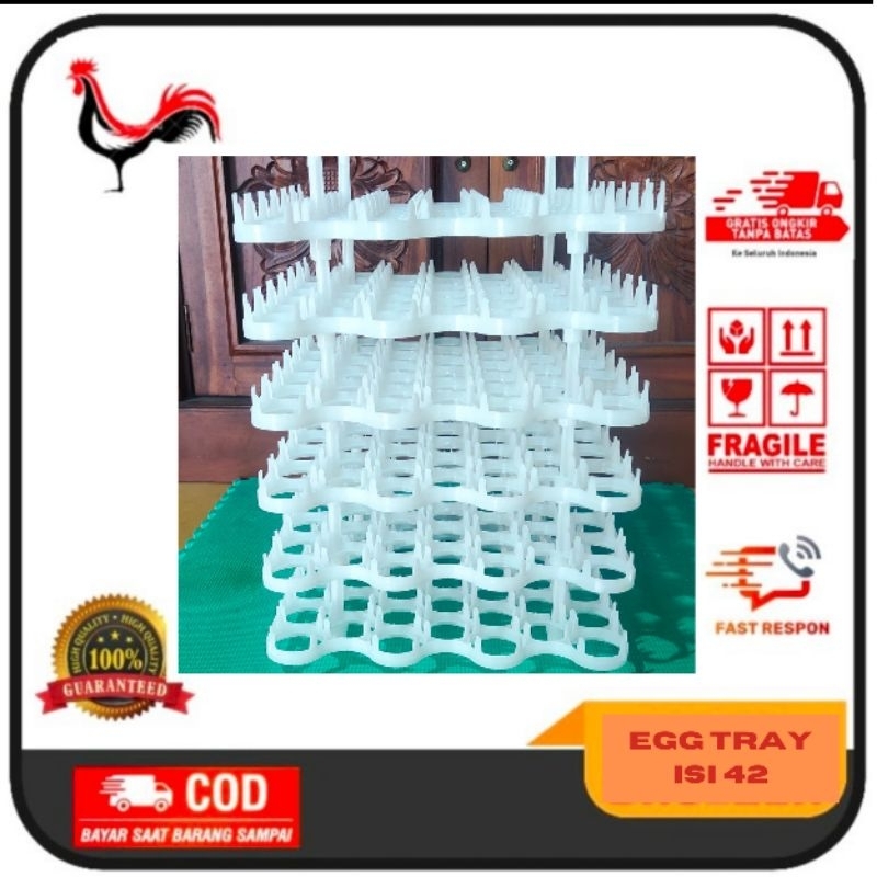 Jual EGGTRAY EGG TRAY RAK TELUR PENETASAN KAPASITAS ISI 42 BUTIR TELUR ...