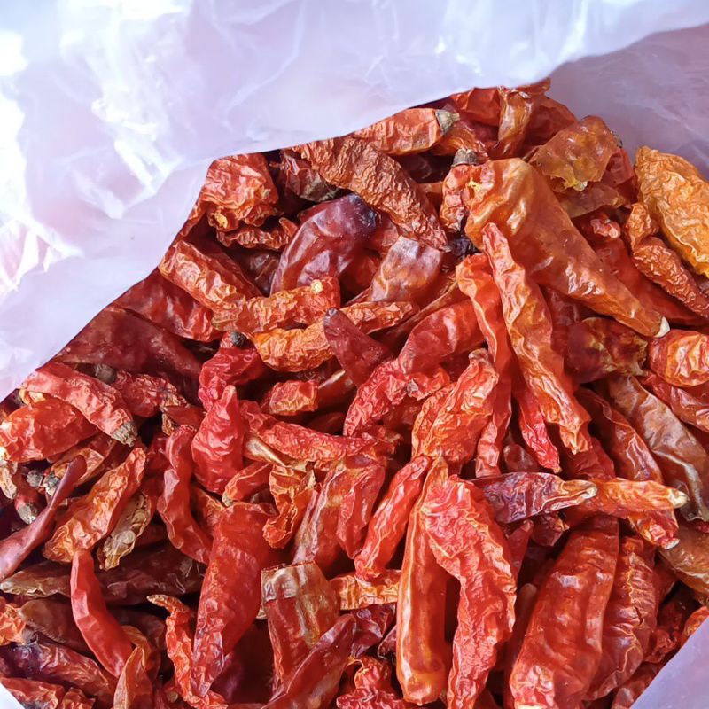Jual cabe merah japlak kering | Shopee Indonesia