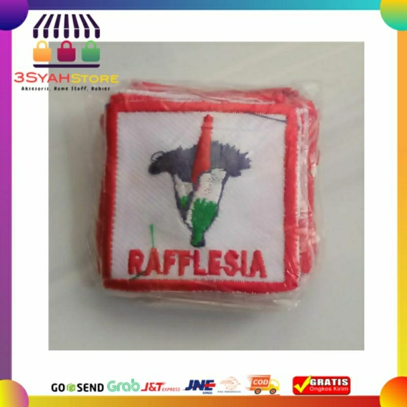 Jual Badge + Bendera Regu Pramuka Penggalang Putri [set] | Shopee Indonesia