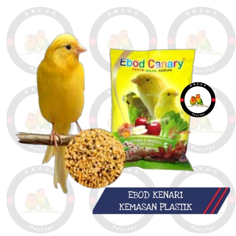 Jual PAKAN BURUNG KENARI HARIAN KEMASAN PLASTIK EBOD JAYA | Shopee ...
