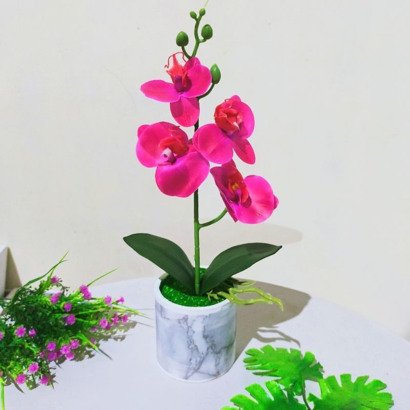 Jual Bunga Anggrek Latek Bunga Anggrek Kupu Kupu Anggrek Latex Shopee Indonesia