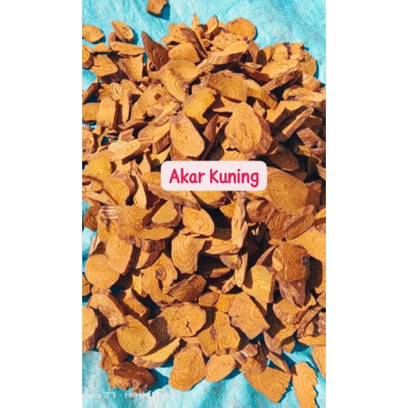 Jual Bajakah Akar Kuning | Shopee Indonesia