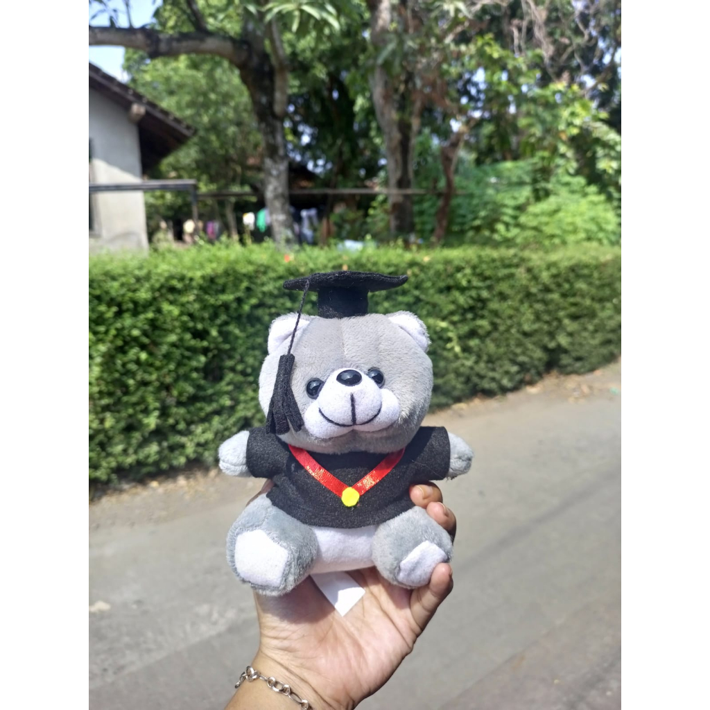 Jual BONEKA WISUDA 13 CM | BEAR MINI | BONEKA TOGA | BEAR MINI TOGA ...