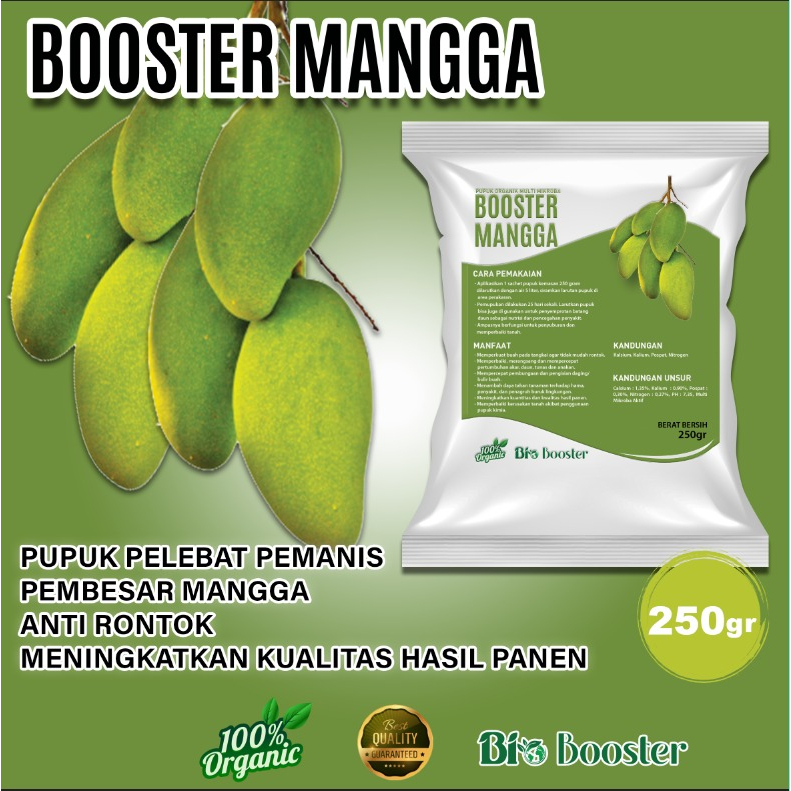 Jual Pupuk Organik Booster Mangga 250gr pelebat pemanis pembesar buah mangga anti rontok ...