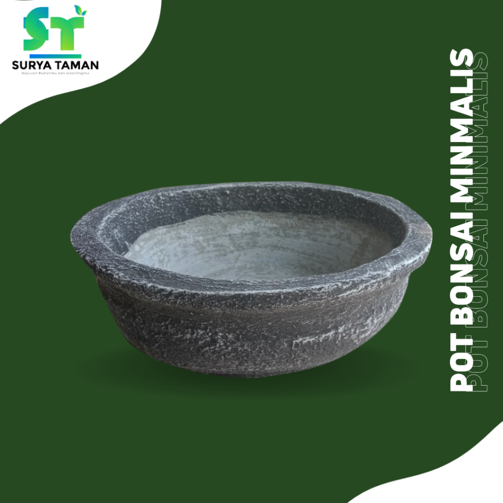 Jual Pot minimalis bulat bonsai | Shopee Indonesia