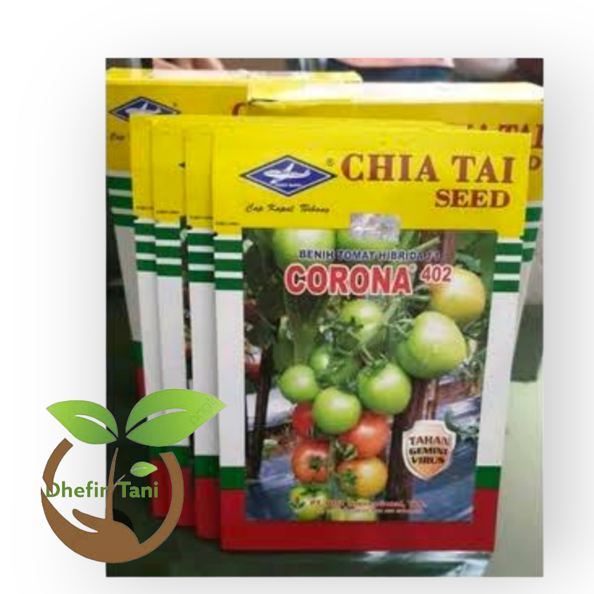 Jual Benih Tomat CORONA 402 F1 5gram | Shopee Indonesia
