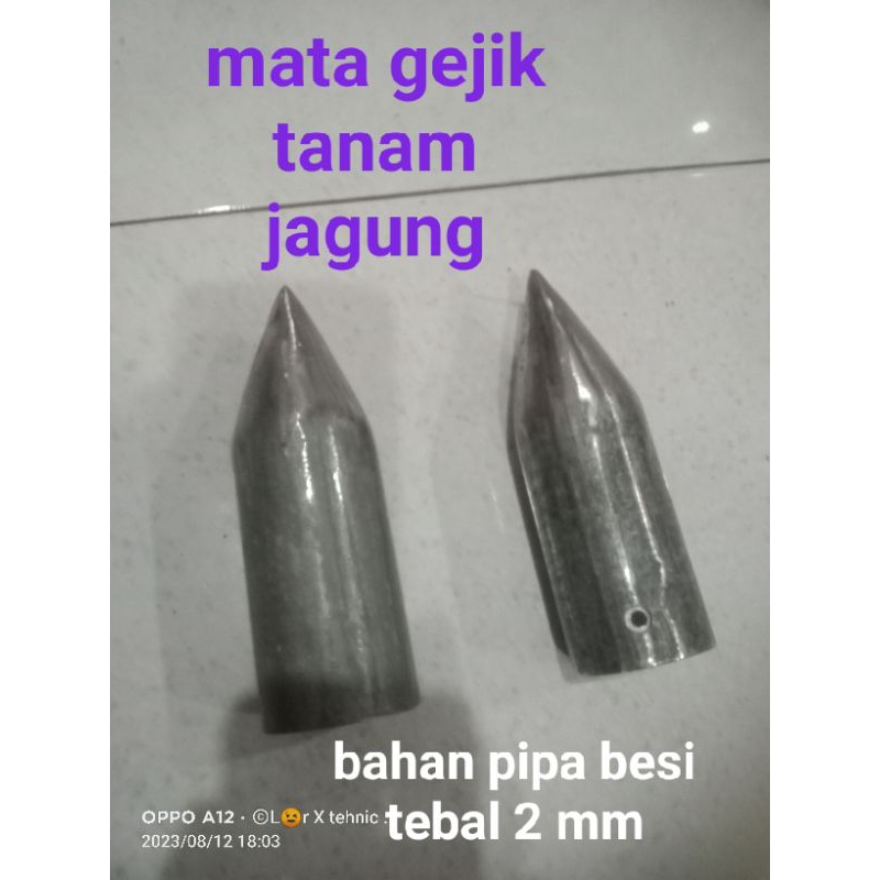 Jual pucuk mata gejik tanam | Shopee Indonesia