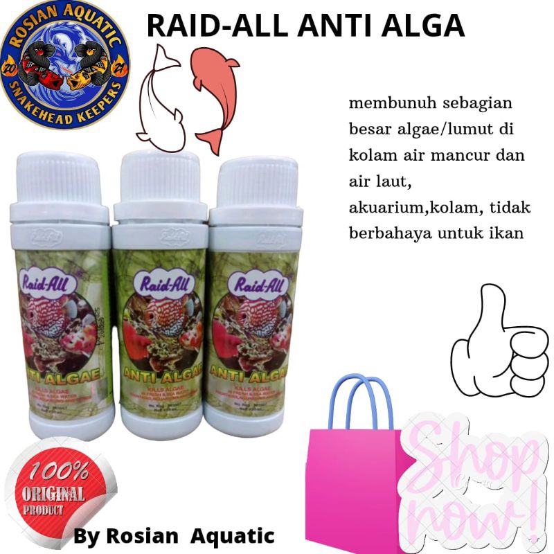 Jual ANTI ALGAE ALGA 100 ML 1 BOTOL RAID-ALL RAID ALL OBAT PENGHILANG ...