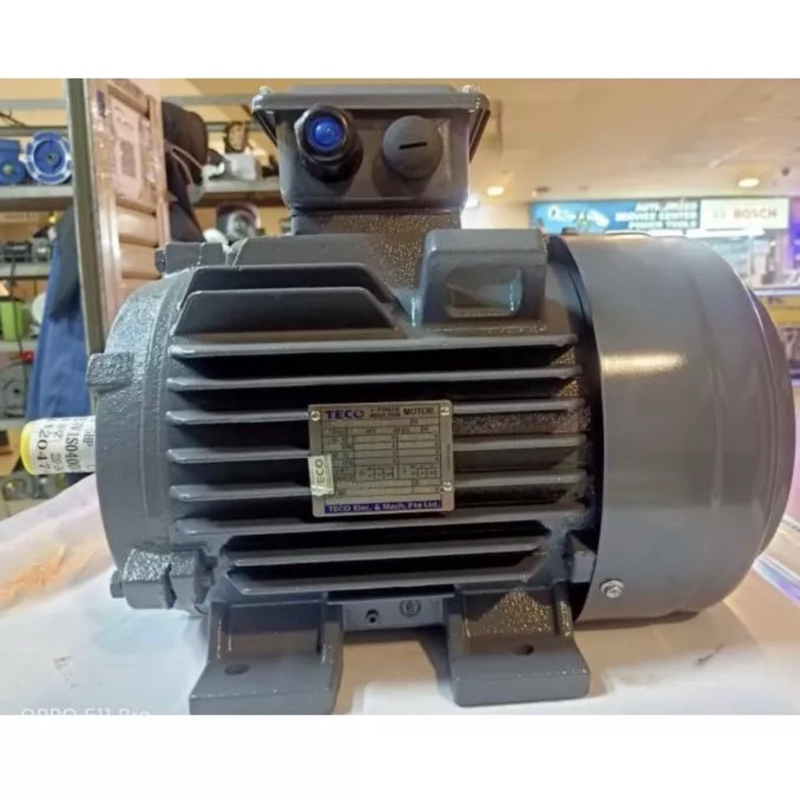 Jual Teco 2 HP 3 Phase 2800 Rpm Dinamo elektro Motor 1.5KW 2Pole | Shopee Indonesia