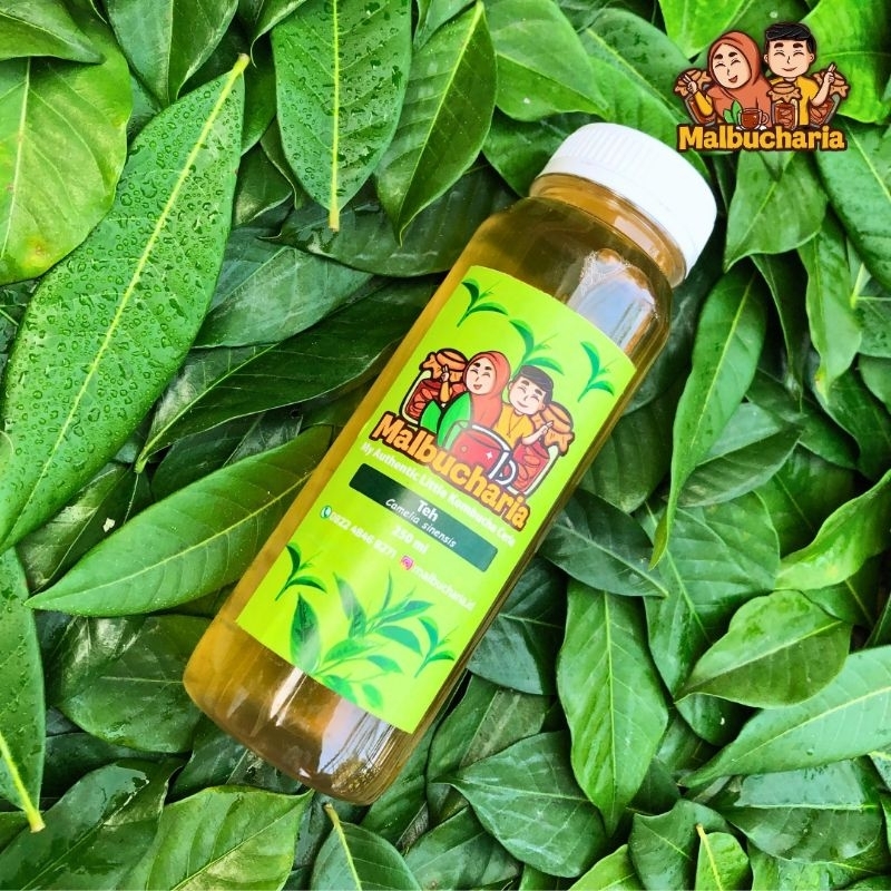Jual Kombucha Varian Original Rasa Teh hijau atau Green Tea 250 ml | Shopee Indonesia