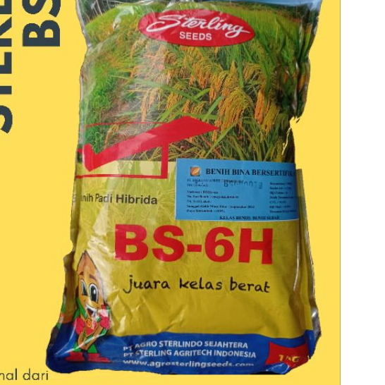 Jual Benih Bibit Padi Hibrida BSHS 6H Sterling 1 kg | Shopee Indonesia