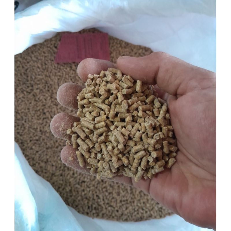 Jual Pakan pur babi 552 pakan untuk babi 20kg keatas repack 1kg | Shopee Indonesia