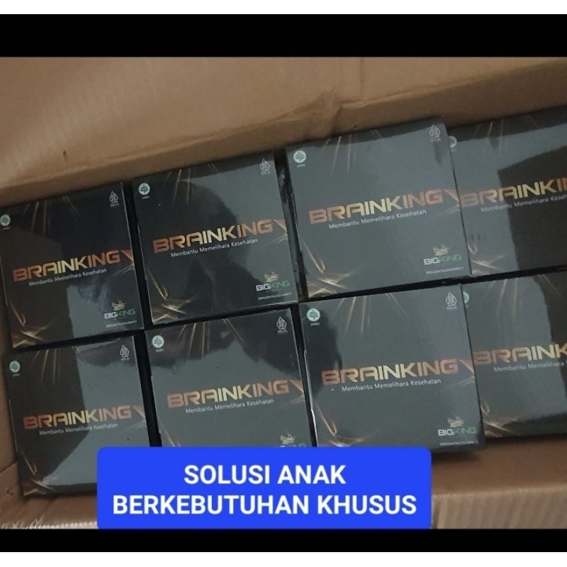 Jual BRAINKING - NUTRISI OTAK UNTUK ANAK DAN DEWASA | Shopee Indonesia