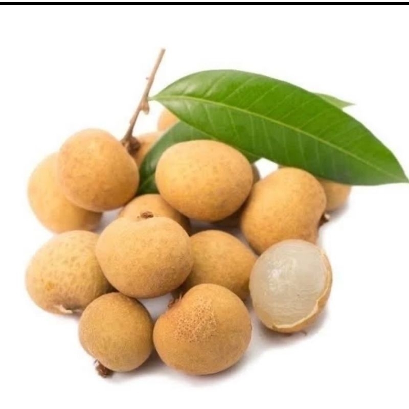 Jual klengkeng Bangkok Thailand gold fresh +-1 KG Lengkeng Bangkok ...