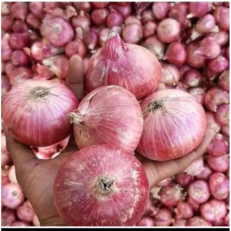 Jual Bawang Merah India 1kg | Shopee Indonesia