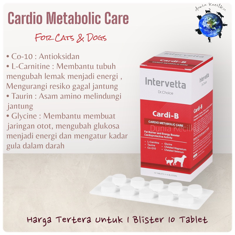 Jual Intervetta Cardi B Suplemen Jantung Anjing Kucing / Cardiac (1 Blister 10 Tablet) | Shopee ...