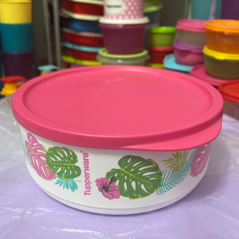 Jual FLAMINGGO CUBIX ROUND / BEKAL MAKAN TUPPERWARE | Shopee Indonesia