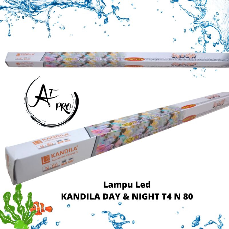 Jual Lampu Led Celup Aquarium KANDILA DAY & NIGHT T4 N 80 + Packing pipa | Shopee Indonesia