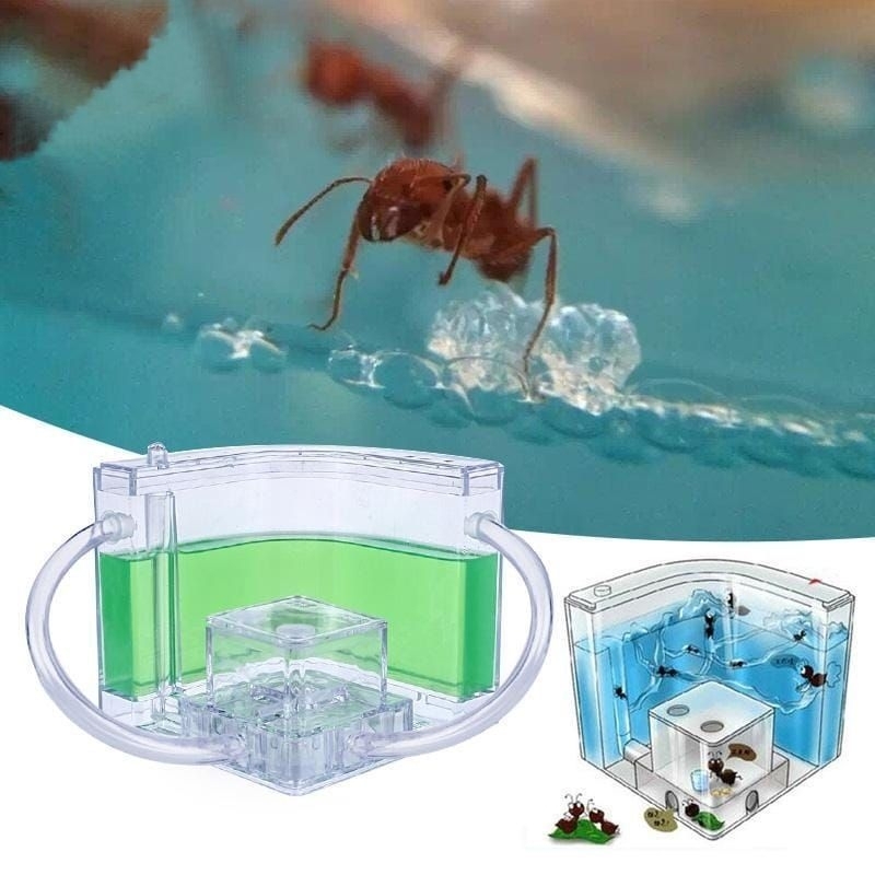 Jual Mainan eksplorasi rumah semut gel warna warni makanan semut / Ant ...