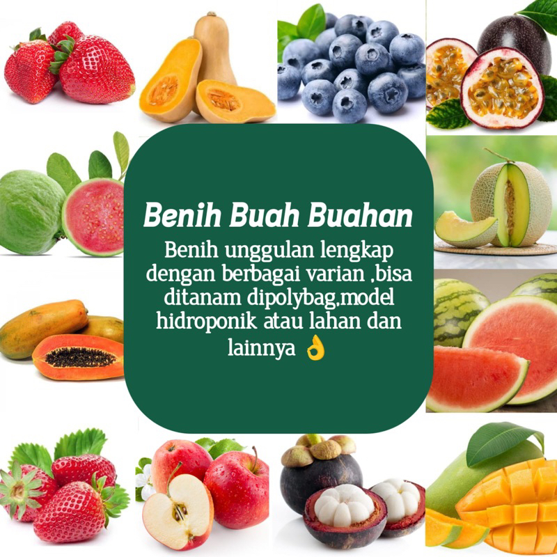 Jual Benih buah buahan unggulan mudah ditanam dimana saja benih ...