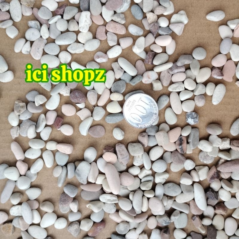 Jual Batu Hias Batu Tanaman ( 250 gram) | Shopee Indonesia