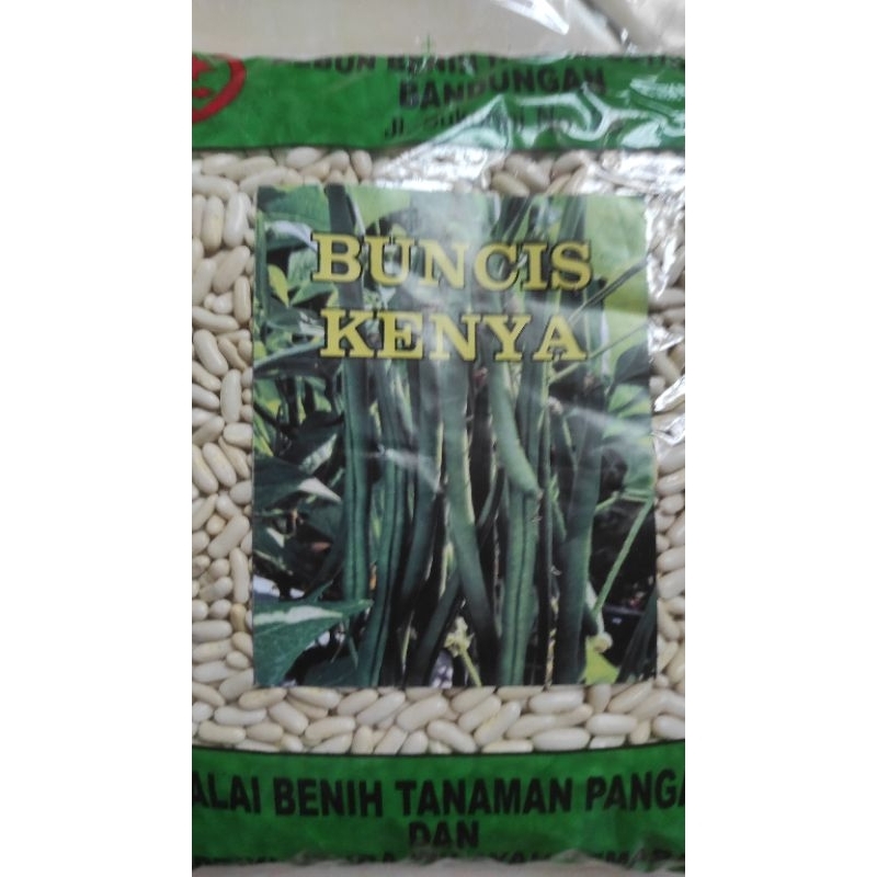 Jual benih buncis baby KENYA buncis Prancis isi 1kg | Shopee Indonesia